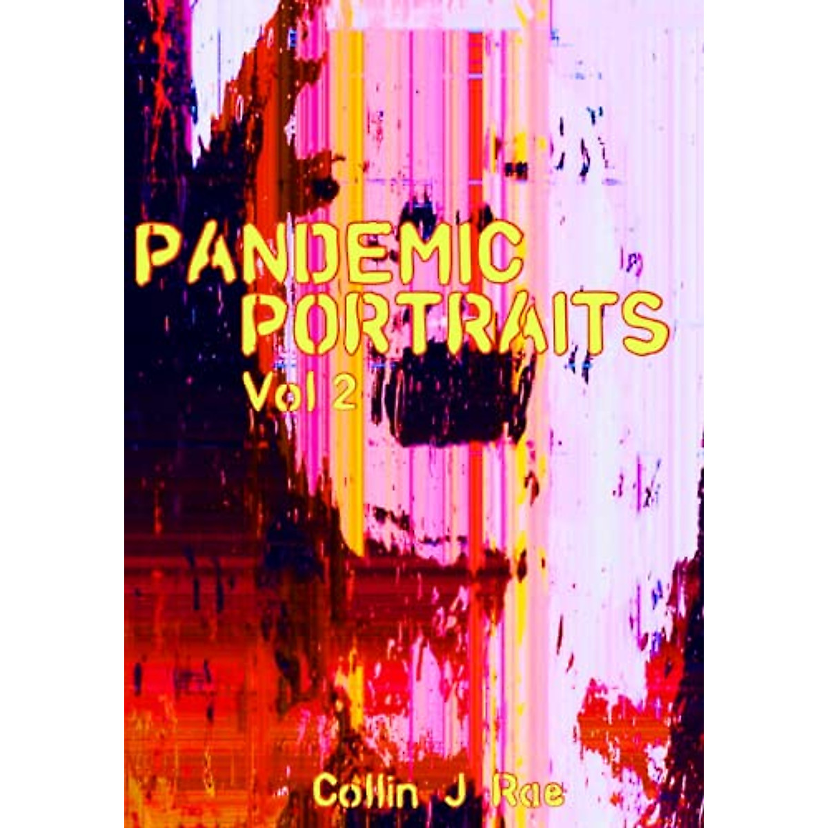 Pandemic Portraits: volume 2