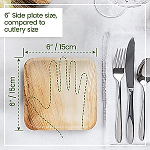 Palm Leaf Plates - Compostable and Grease Resistant 6 Inch Square Plates - Eco Friendly Plate is 100% Natural, Sturdy & Microwave Safe - Disposable & Biodegradable Wood Alternative to Bamboo Plates