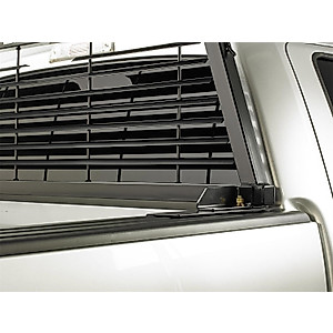 Backrack D330117 Safety Rack Kit Compatible with Dodge