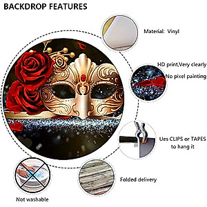 Masquerade Party Backdrops Golden Mask Red Rose Backdrop for Fiesta Mardi Gras Event Dance Photo Background Birthday Studio Photo Video Shoot Props (Vinyl-7x5ft)