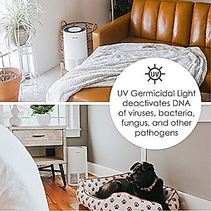 Crane Air Purifier with True HEPA Filter, Germicidal UV Light, 300 Sq Feet Coverage, Timer Function, Sleep Mode, Washable Particle Filter, EE-5068