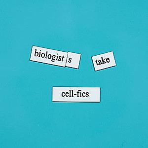 Biology Word Magnets - Funny and Nerdy Word Kit for College to PhD to Professional Biologist Level - Office Refrigerator or Magnetic White Board - Made in USA