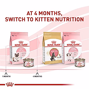 Royal Canin Feline Health Nutrition Mother & Babycat Dry Cat Food for Newborn Kittens and Pregnant or Nursing Cats, 6 lb Bag