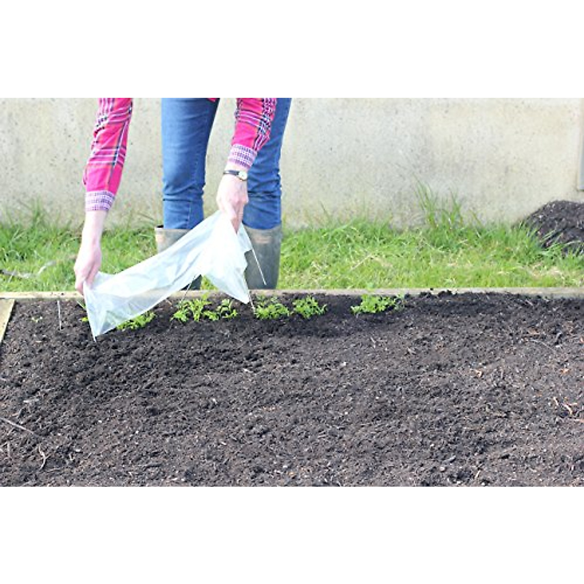 Tierra Garden 50-5080 Haxnicks Easy Seedling Tunnel (3-Pack)