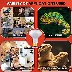 BULBMASTER Reptile Heat Lamp Bulb 100 Watts UVA Basking Light for Reptiles and Amphibian, Basking Light for Bearded Dragon, UVA Reptile Light Bulb E26 Base 2 Pack