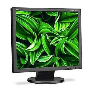 NEC 19" Value Desktop Monitor with LED Backlighting, Black (AS194MI-BK)