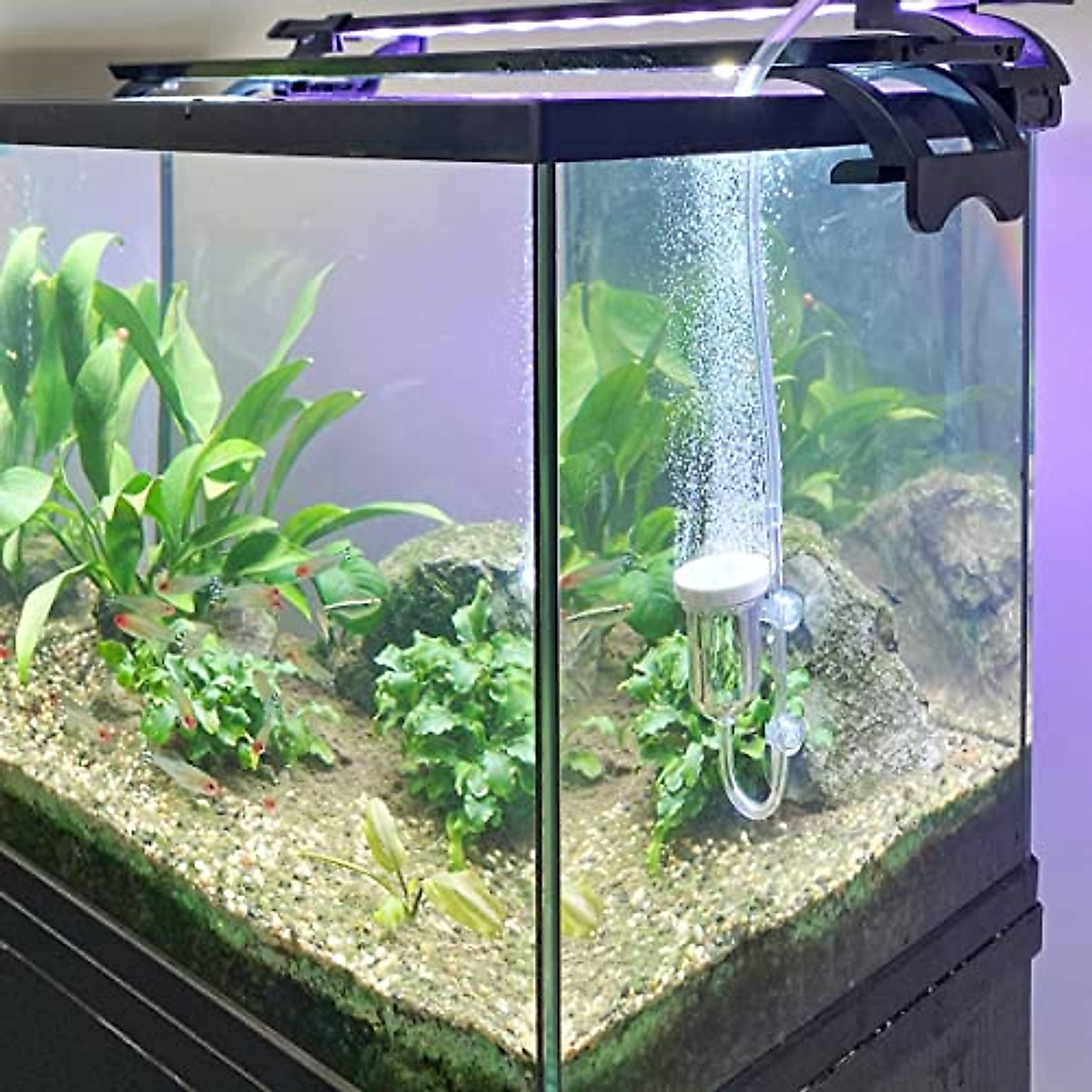 boxtech Aquarium Air Stone, Fish Tank Bubble Diffuser High Dissolved Oxygen Airstones for Air Pump Accessoriess with 1 Check Valve, 2 Suction Cup for Aquarium Pond Hydroponic