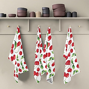 susiyo Red Cherry Fruits Kitchen Dish Towel, Set of 4 Pcs Soft Polyester Dish Cloth for Cooking Washing, 28 X 18 Inch