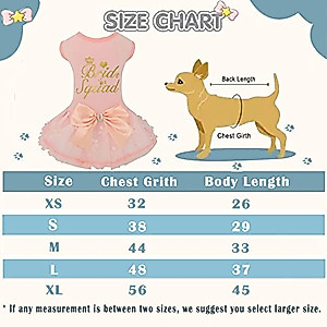 Dog Cute Gold Glitter Dress Tutu Outfit Princess Skirt for Small Medium Girl Dogs Wedding Bride Birthday Party Photography (Bride Squad, S)