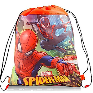 Spiderman Lunch Bag - Bundle with Marvel Spiderman Lunch Box for Boys Girls Kids, Spiderman Drawstring Bag, Water Pouch, Spiderman Stickers, More