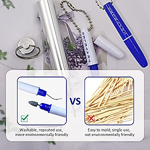 Portable Travel Toothpick Dental Tool, Stainless Steel Toothpick and Emery Stain Eraser, Metal Toothpick, Teeth Cleaning Plaque Remover Stain Remover with Chain (2)