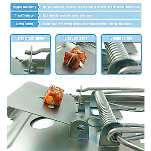 made2catch Pack of 2 Classic Metal Rat Traps Fully Galvanized - Rat Traps That Work - Strong and Humane Snap Rat Trap - Reusable Rat Trap - 2 Traps