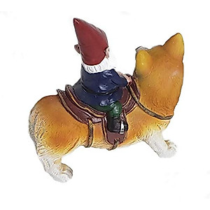 Funny Guy Mugs Garden Gnome Statue - Gnome Riding a Corgi - Indoor/Outdoor Garden Gnome Sculpture for Patio, Yard or Lawn