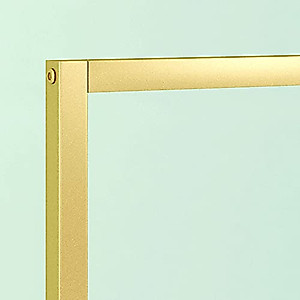 NEOCHY Heavy-Duty Hangers, Wrought Iron Clothing Display Racks, Household Movable Drying Racks,Ng Load-Bearing/Golden/120X40X150Cm