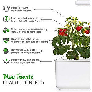 Click and Grow Smart Garden Mini Tomato Plant Pods, 3-Pack