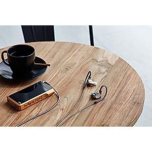 Sony IER-Z1R Signature Series in-Ear Headphones (IERZ1R),Black/Silver