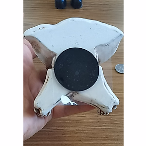 Cute Medidating Skull Dashboard Phone Holder for Car, Car Phone Mount, Skull Car Interior Accessories, Home Office Gothic Halloween Decorations