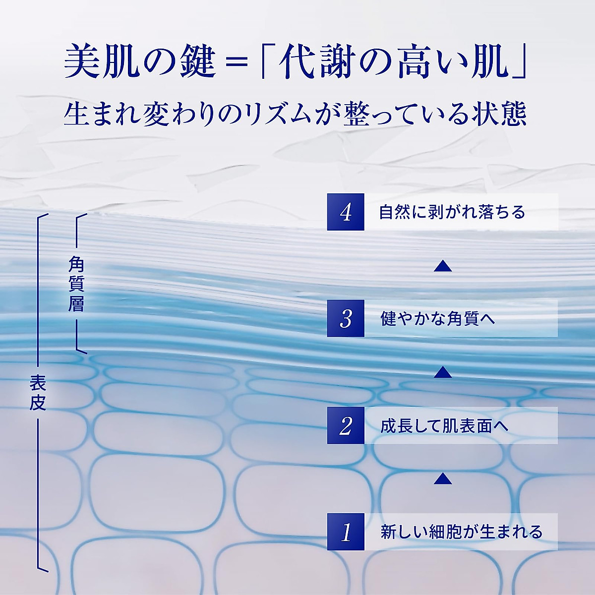 Takami Skin Peeling Skin Care Lotion, 30 Fl Oz