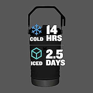 Stanley IceFlow™ Flip Straw Jug 40oz Charcoal