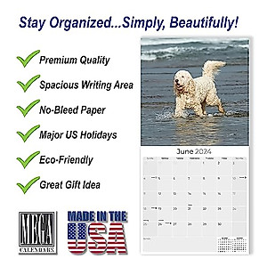 2023 2024 Labradoodle Calendar - Dog Breed Monthly Wall Calendar - 12 x 24 Open - Thick No-Bleed Paper - Giftable - Academic Teacher's Planner Calendar Organizing & Planning - Made in USA
