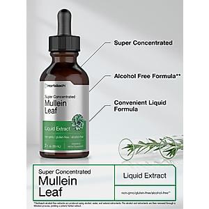 Horbäach Mullein Leaf Tincture Drops | 2 fl oz | Alcohol Free Liquid Extract | Vegetarian, Non-GMO & Gluten Free Herbal Supplement