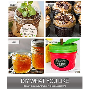 VERONES Mason Jars 4 OZ, Canning Jars With Regular Lids, Ideal for Jam, Honey, Wedding Favors, Shower Favors, DIY Spice Jars, 40 PACK