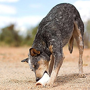 Filled Dog Bones (Flavors: Peanut Butter, Cheese, Bacon, Beef, etc.) Made in USA Stuffed Bulk 3 to 6" Femur Dog Dental Treats & Chews, American Made (Variety Pack, Small (3") -3 Flavors)