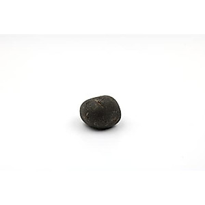 WW Will and Weaves Shaligram Shila Natural Stone Laxmi Narayan Abhimantrit Shree Shaligram with Box