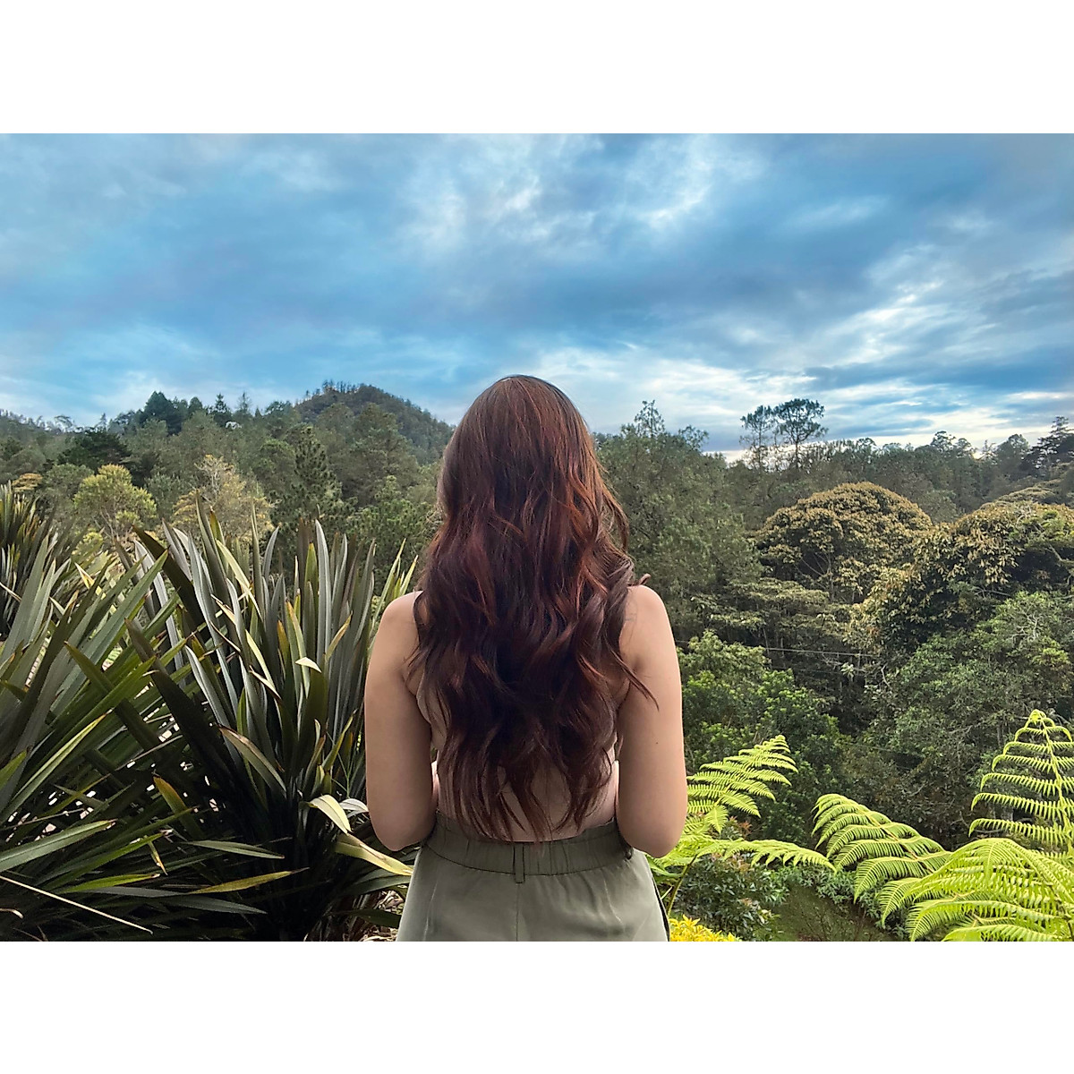 1 Pack Of Auburn Henna Hair & Beard Color/Dye 100 Grams - Natural Hair Color, Plant-based Hair Dye - The Henna Guys