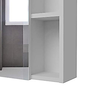 Tuhome Labelle Medicine Cabinet with Mirror Door, Open & Closed Shelving, White