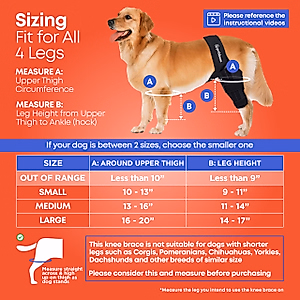 petbloom Dog Knee Brace for Torn ACL, Hip Dysplasia, Arthritis Pain Relief, Osteoarthritis, and Ligament Injuries, Adjustable Neoprene Support for Front or Hind Leg, Black (Large)