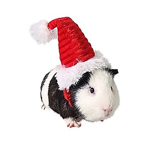 balacoo Guinea Pig Christmas Hat Hamster Christmas Hat Small Pet Christmas Costume Christmas Guinea Pig Santa Hat Christmas Pet Outfits for Rabbit Guinea Pig Chinchilla Cat Guinea Pig