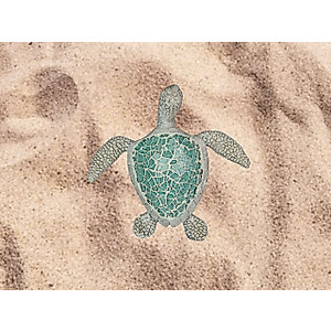 Things2Die4 7 Inch Resin Sea Turtle Sculpture Wall Hanging Beach Home Decor Decorative Art
