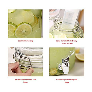 Emica Home 1 Gallon Cold Drink Glass Beverage Dispenser with Ice Infuser, Clear Bail & Trigger with Locking Clamp Drink Dispenser with Easy Flow Spigot for Outdoor, Parties and Daily Use