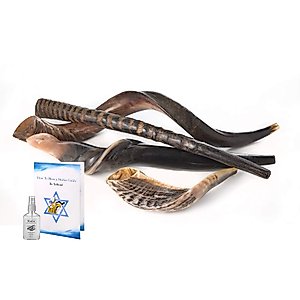 Sale 4 Shofars Kudu Yemenite, RAM, Gemsbok Oryex Horn, Eland Shofar Free Odor Neutralizer + Guide By Yaliland