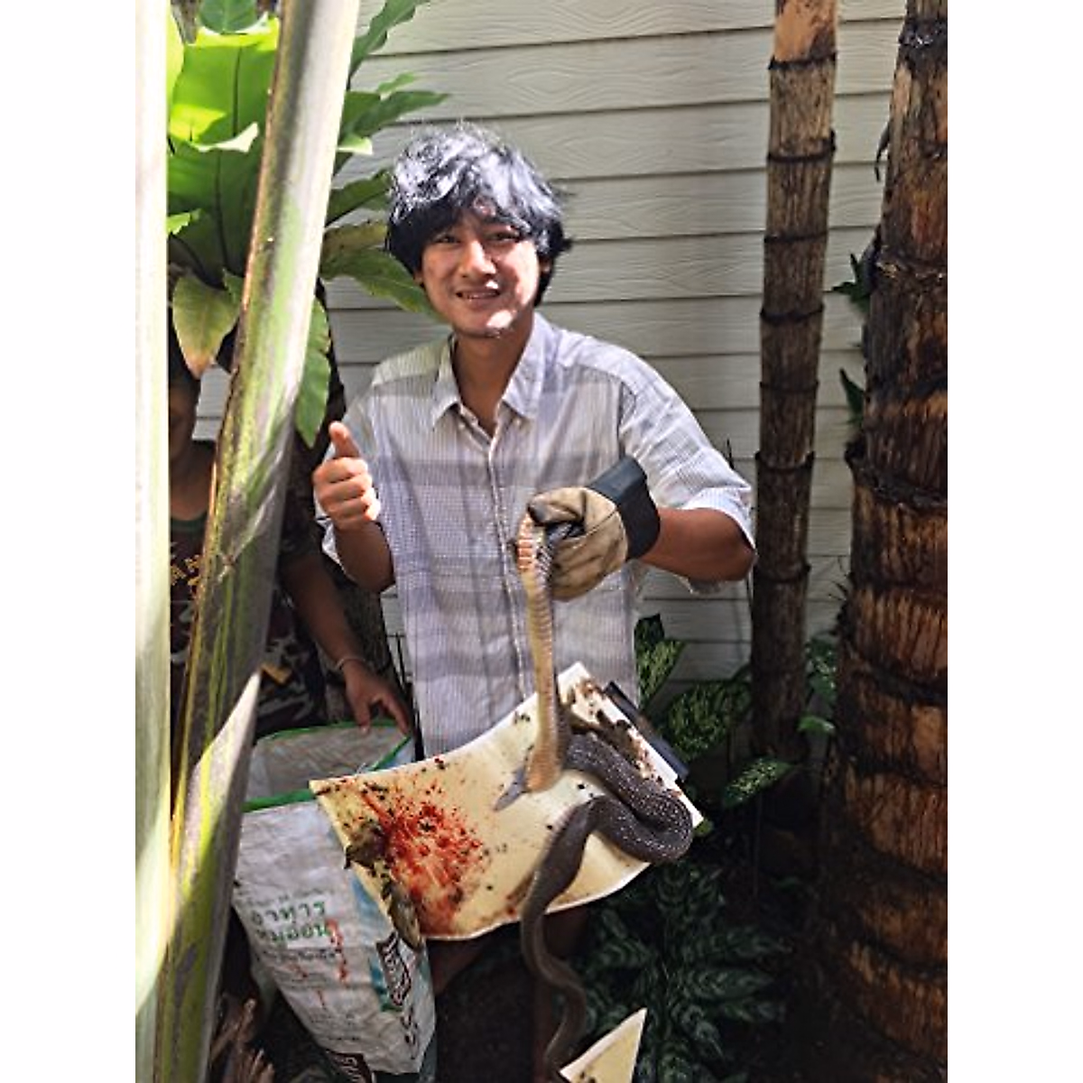 Cahaba Snake Trap (1 PK) Commercial Grade Large/Reusable 32"x10"x3" with (3) Large Catch Inserts Made in USA