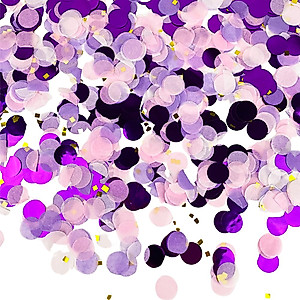 1 inch Round Tissue Confetti Dot Paper Confetti Colorful Table Confetti for Birthday Bachelorette Wedding Bridal Shower Anniversary Party Decorations(Purple) (Fairy, 1 inch)