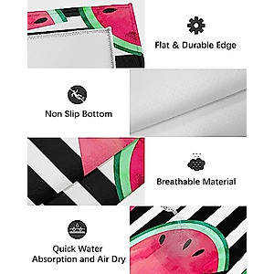 Outdoor Rug Waterproof Outdoor Patio Rug Outdoor Area Rug Mats RV Camping Rugs Outdoor Carpet Tropical Fruit Watermelon Pink Summer Stripe Black and White Background 4x6 Feet