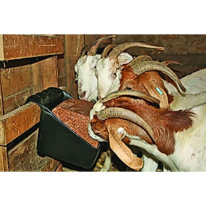 Little Giant SBPU Universal Block Holder and Feeder; Grain/Supplement Feeder for Cattle, Horses, Goats, Sheep, Alpacas & Llamas; Polypropylene Plastic, Holds 50-Lb or 6.5 Quarts, 12.63"x14.25"x9.69"