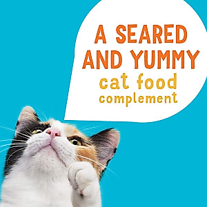 Purina Friskies Gravy Wet Cat Food Lickable Cat Treats Variety Pack, Lil' Grillers Seared Cuts With Chicken & Tuna - (Pack of 18) 1.55 oz. Pouches