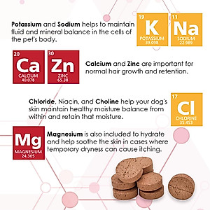 Derm Tabs Regular Strength for Dogs - Natural Oil, Vitamins, Minerals, and Antioxidants - Support Healthy Skin and Reduce Shedding - 120 Chewable Tablets