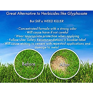 Energen Carolina LLC 578 Vinegar Weed & Grass Killer Approved for Organic Production Pet Safe Glyphosate Free Herbicide, Gallon 1, Yellow