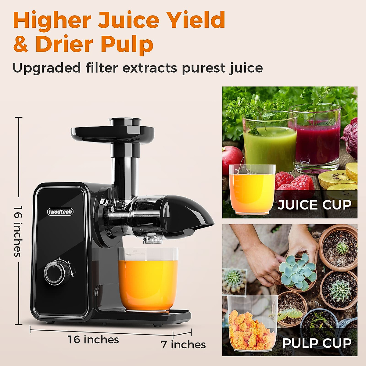 IWODTECH Juicer Machine, Cold Press Juicer with 2 Speed Modes, Slow Masticating Juicer Vegetable and Fruit, Celery Juicer, BPA-Free, Easy to Clean, Black