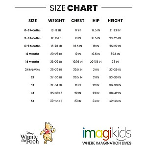 Disney Piglet Winnie the Pooh Infant Baby Girls T-Shirt and Leggings Outfit Set Floral Yellow/Pink 18 Months