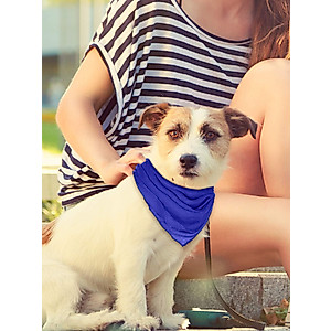 Boao 6 Pieces Chiffon Scarf 1950s Square Scarf Neck Head Scarfs Vintage Soft Scarf Polyester Scarves for Women Girl Lady (Black, Navy, Royal Blue, Coffee, Gray, White)