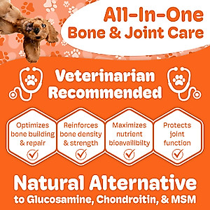 Boneo Canine Maintenance Formula - Lactoferrin-Based Bone and Joint Supplement for Dogs - 90 Ct Dual Pack Chewable Tablets, Liver and Sausage Flavor