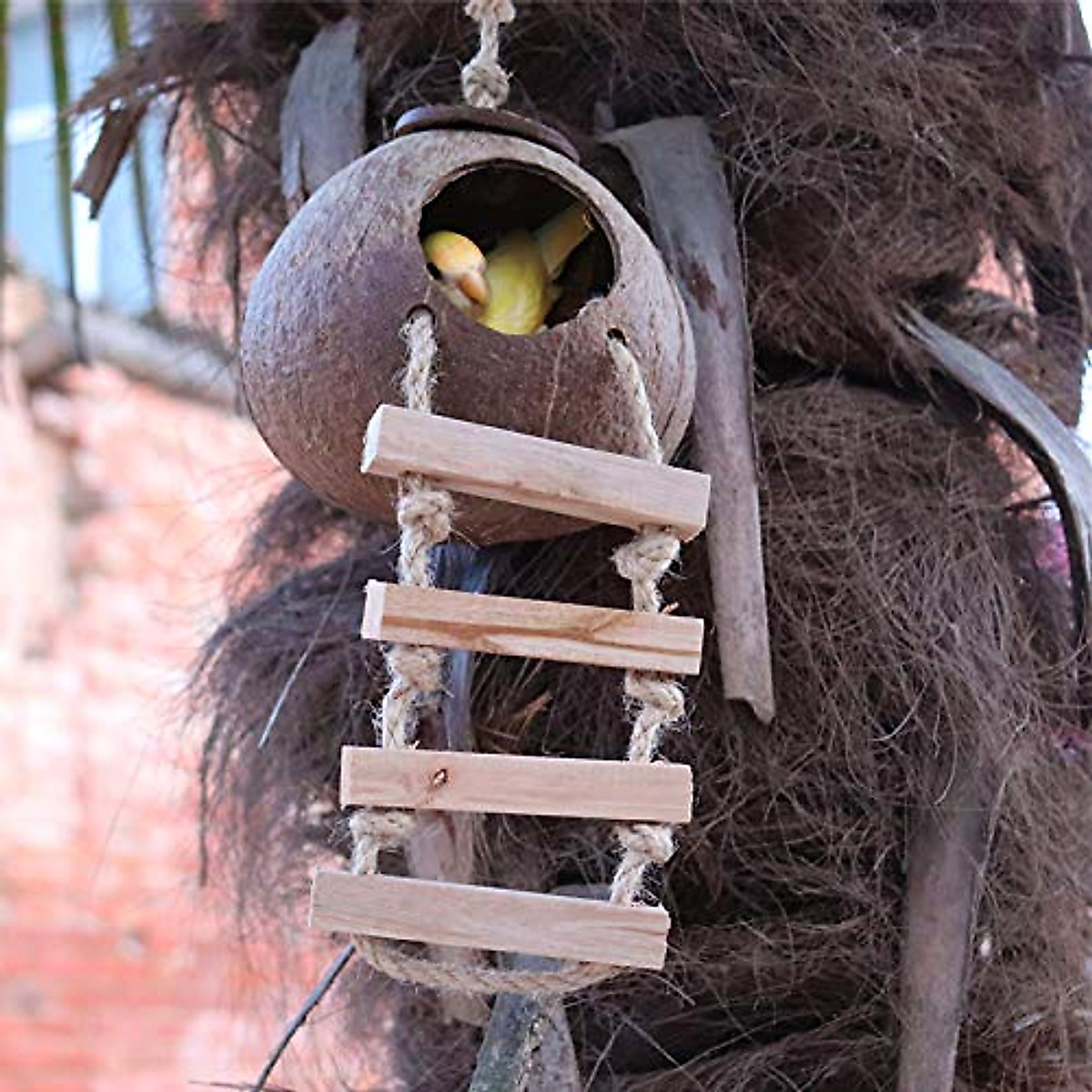 Gecko Coconut Husk Hut, Bird Hut Nesting House Hideouts with Ladder, Coco Texture Provide Food, Durable Cave Habitat with Hanging Loop for Leopard Gecko, Reptiles, Amphibians and Small Animals