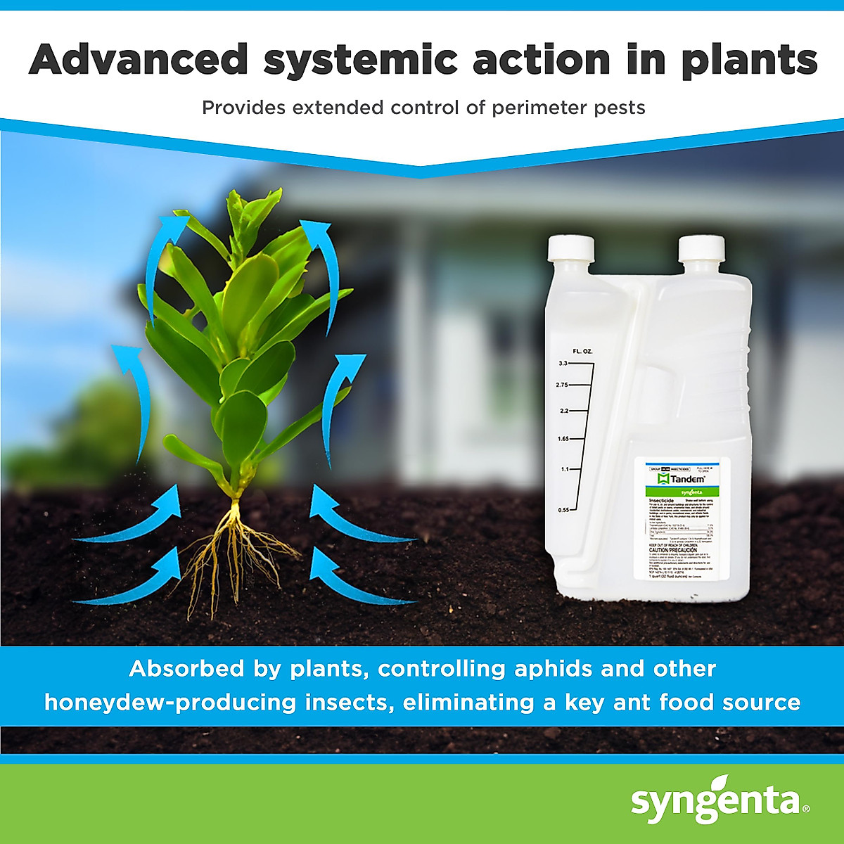 Tandem Insecticide Quart