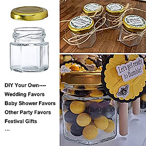 TinQee 48 Pack 1.5oz Hexagon Glass Jars with Golden Metal Lids, Mini Canning Jars for Honey, Jam, Jelly, Wedding Party Favors, Gifts and Crafts