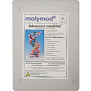 Molymod miniDNA (AMDNA06012) DNA Model 12 Base Pair Layer Kit